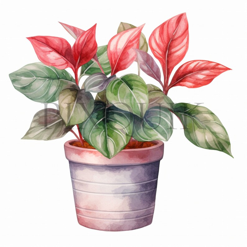 Potted Plant Clipart 10 High Quality Jpgs Indoor Plant Art Botanical ...