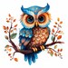 Whimsical Owl Clipart | Colorful Bird Illustration (jpgs) - Etsy