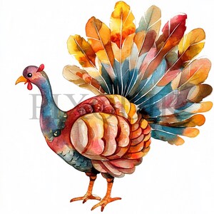 Autumn Turkey Clipart | 10 High Quality Jpg's | Thanksgiving Turkey ...