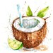 Watercolor Coconut Drink Clipart | 10 High-quality Jpg's | Summer ...