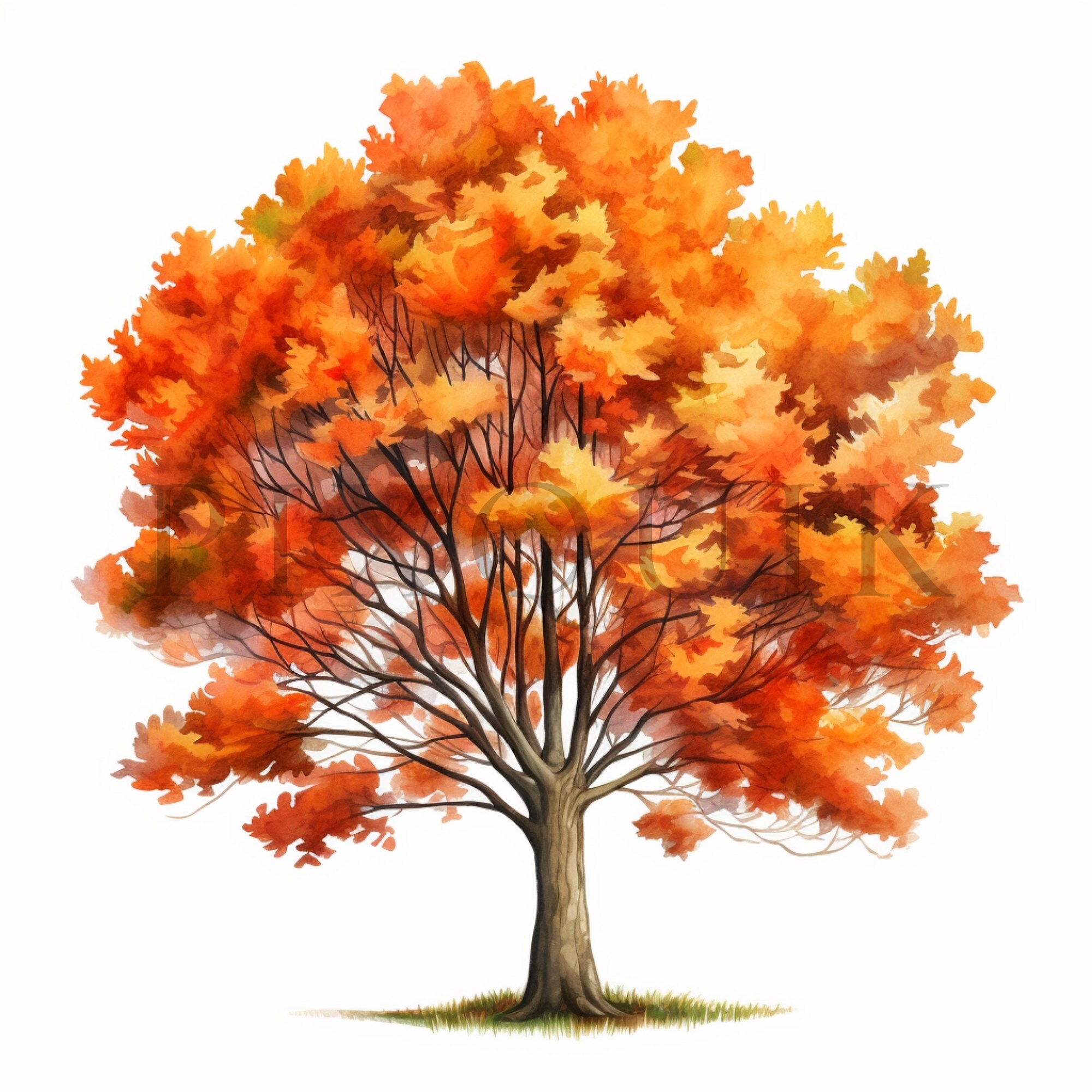 Autumn Maple Tree Clipart | Fall Wall Art (digital Download) - Etsy