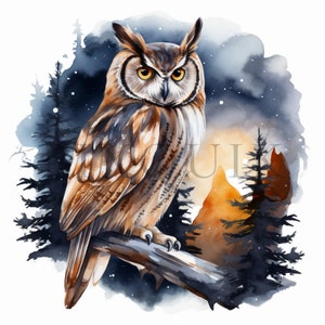 Owl Clipart Set | Woodland Animal Jpgs (digital Download) - Etsy