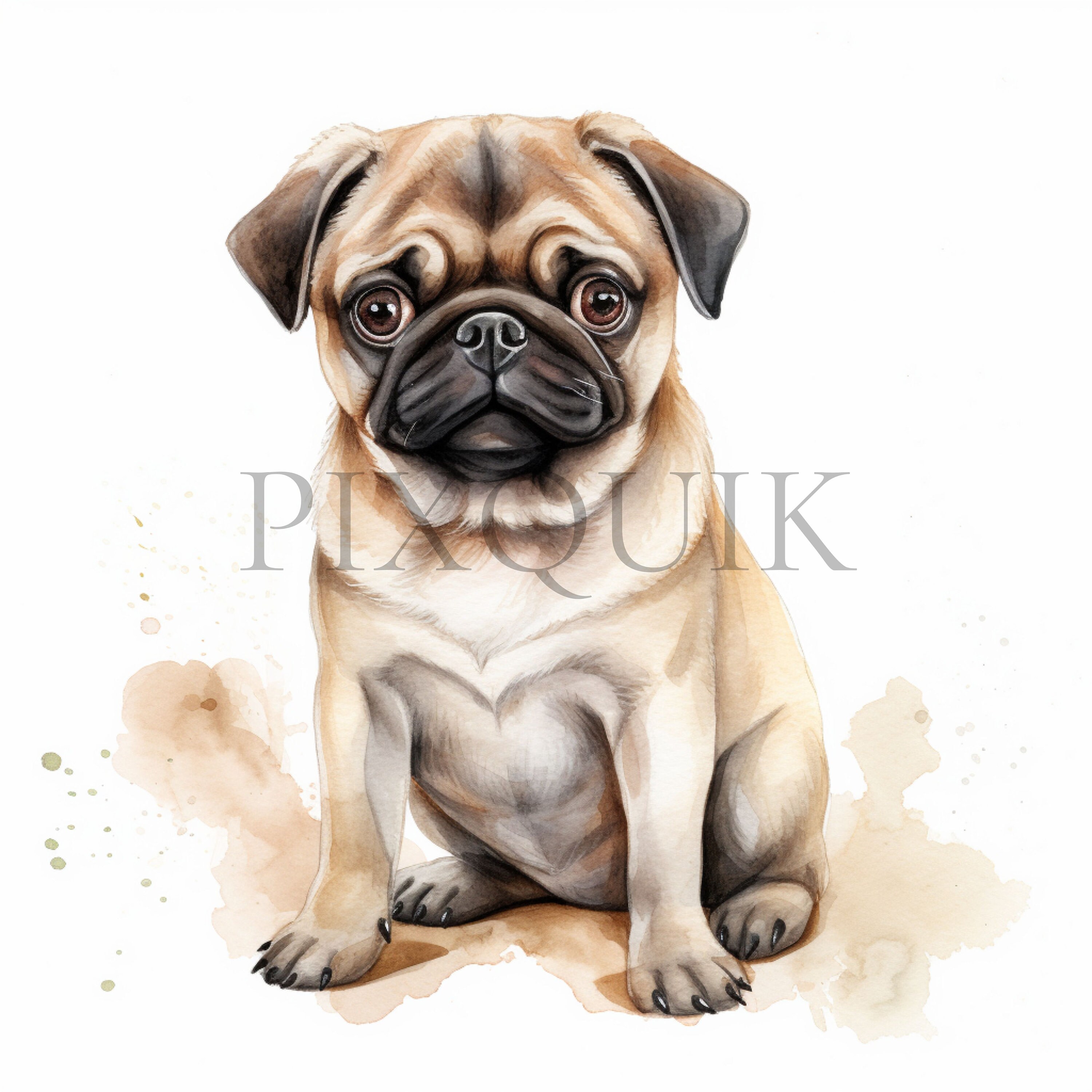 Pug Clipart 10 High Quality Jpgs Puppy Clipart Cute Pug Clipart Digital ...