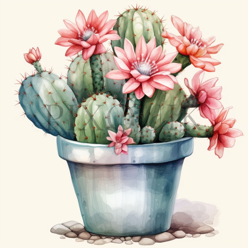 Cactus With Flowers Watercolor Clipart Set 10 High Quality Jpgs Floral ...