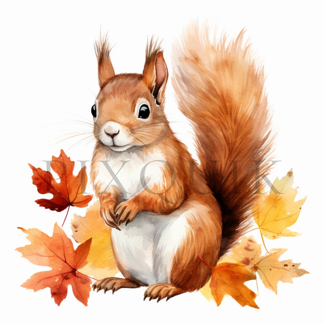 Autumn Squirrel Watercolor Clipart | Fall Leaves (digital Download) - Etsy