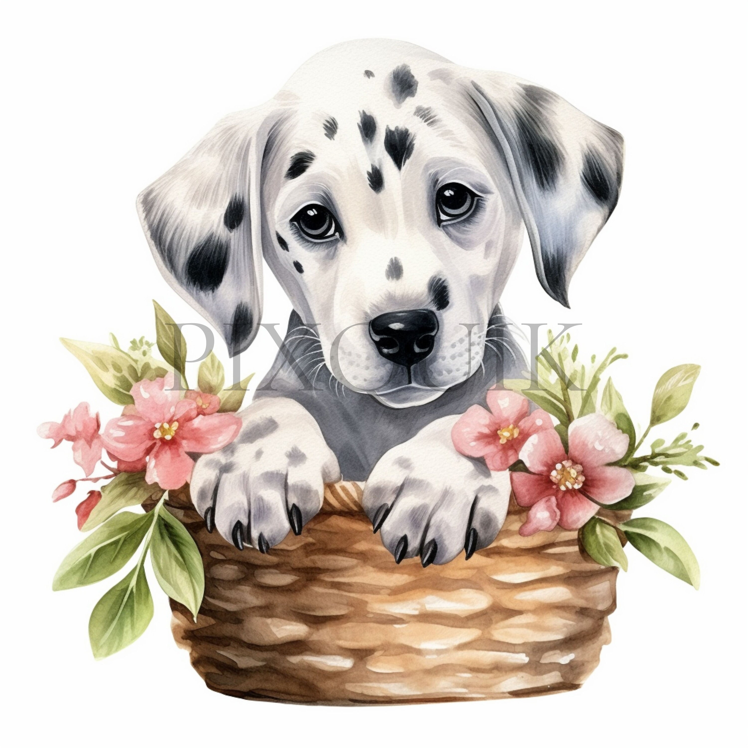 Dalmatian Clipart 10 High Quality Jpgs nursery Art, Digital Download ...