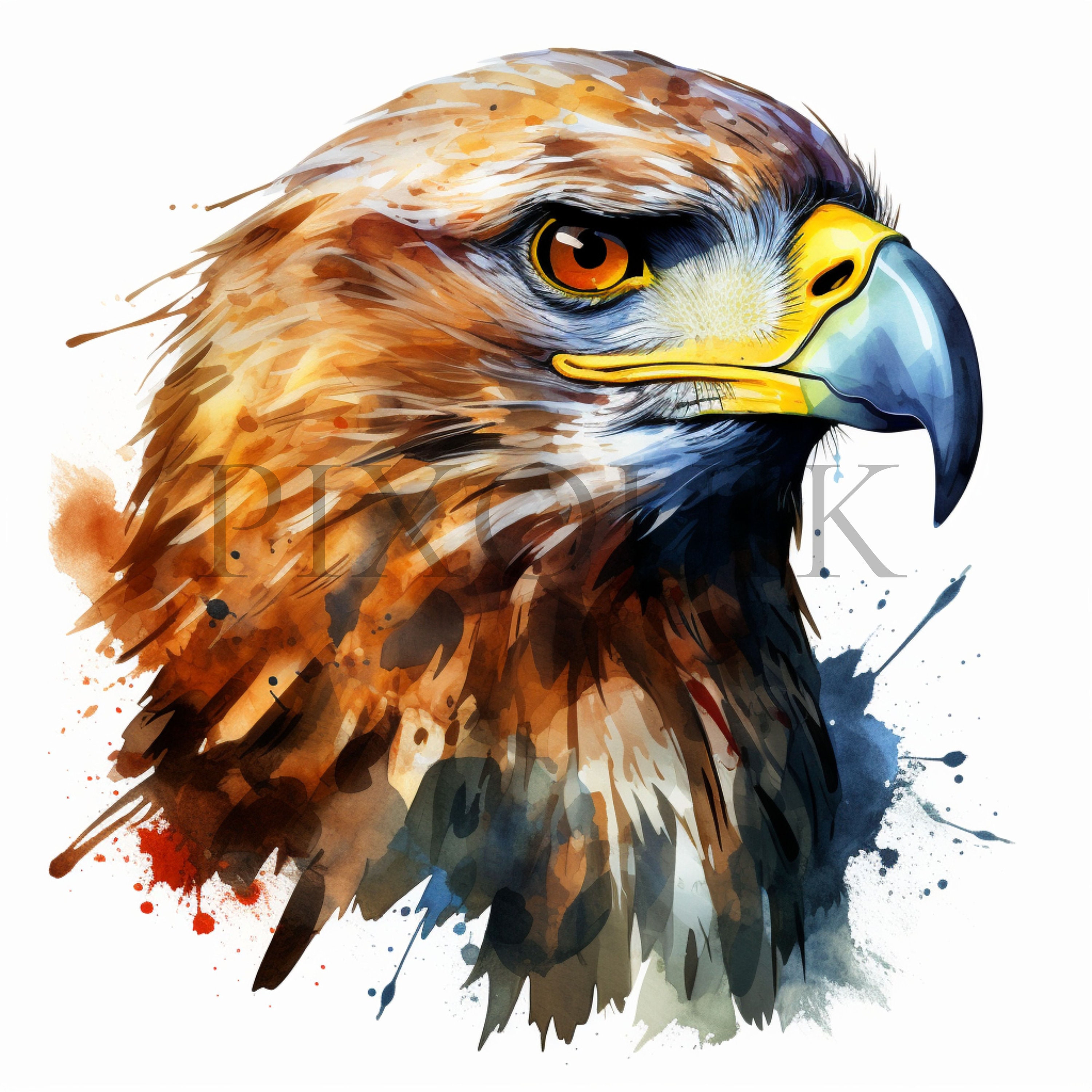 Watercolor Eagle Clipart 10 High-quality Jpgs Digital Download Eagle ...