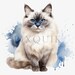 Birman Cat Watercolor Clipart | 10 Jpgs, Commercial Use (digital ...