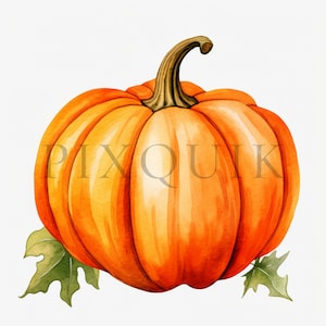 Autumn Pumpkin Clipart | 10 High Quality Jpgs | Instant Digital ...