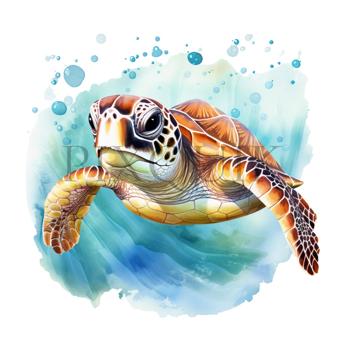 Watercolor Sea Turtle Clipart | High-quality Jpgs (digital Download) - Etsy