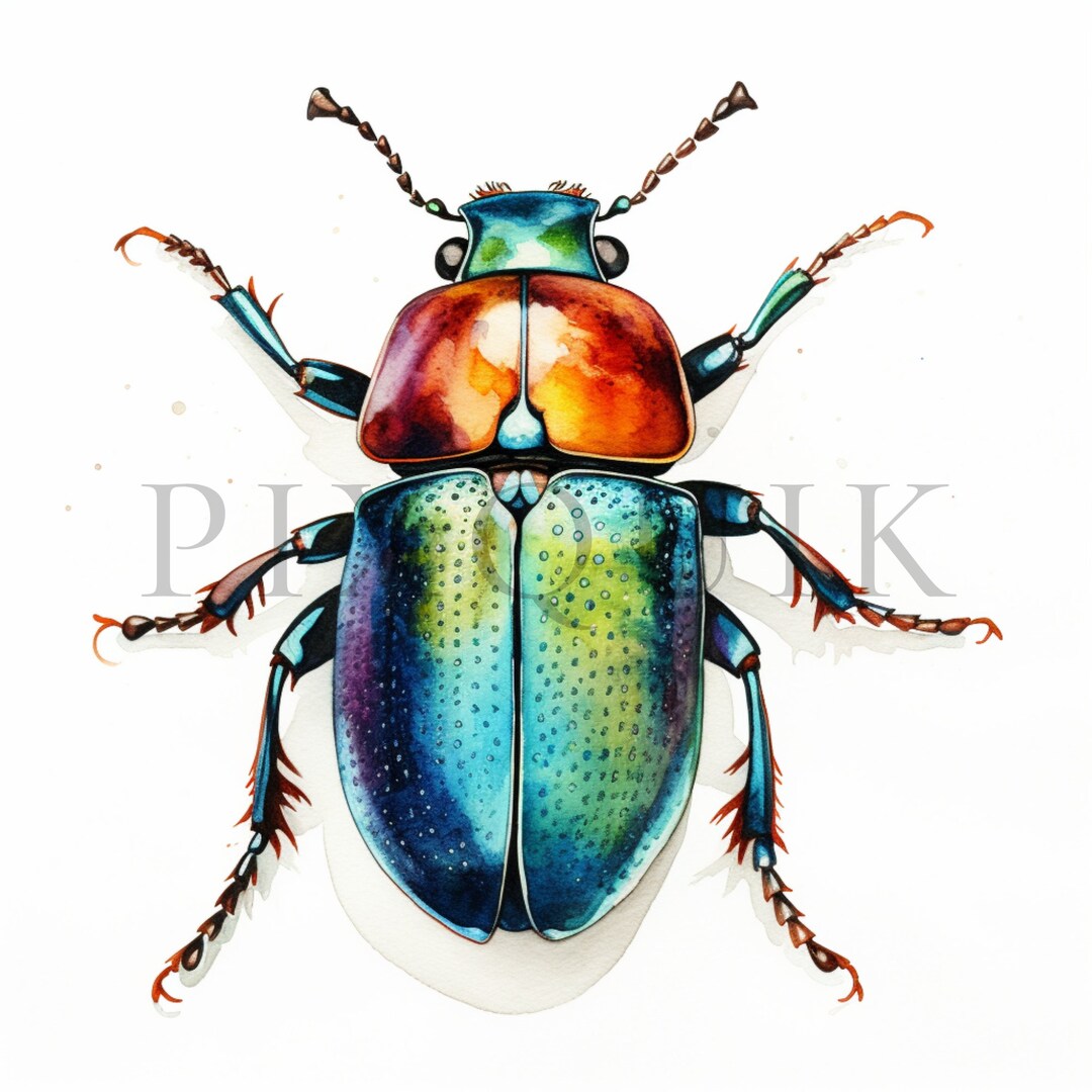Watercolor Bug Clipart | 10 Quality Jpgs | Digital Download | Bug ...