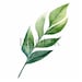 Watercolor Leaf Clipart | Hyper-realistic Botanical Art (digital ...