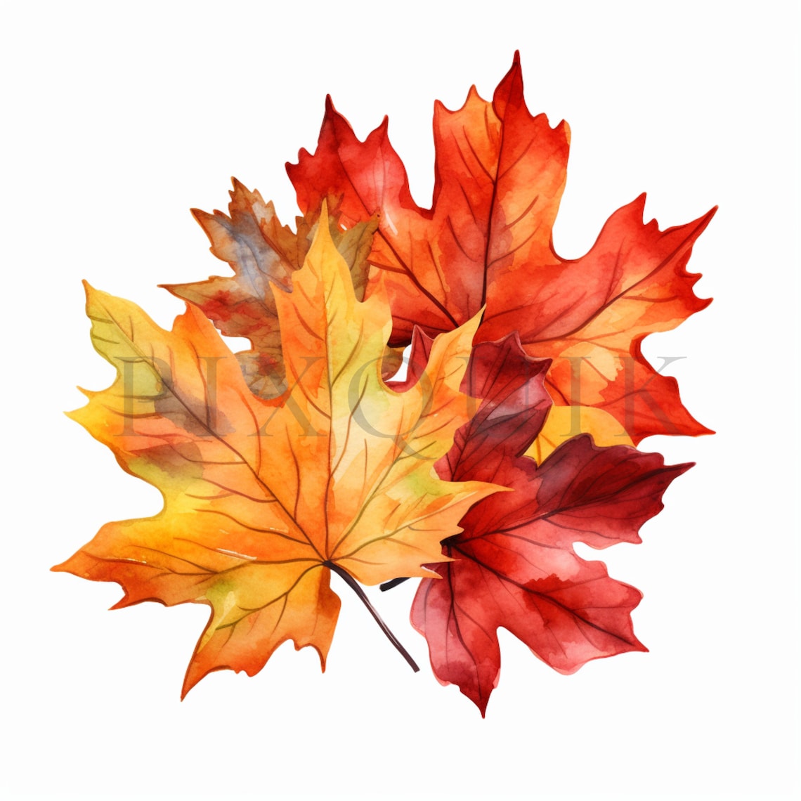 Autumn Leaves Clipart 10 High Quality Jpgs Digital Download Autumn ...