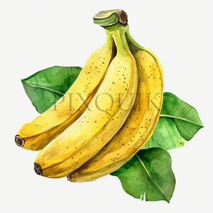Watercolor Banana Clipart | 10 High Quality Jpgs | Banana Illustration ...