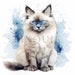 Birman Cat Watercolor Clipart | 10 Jpgs, Commercial Use (digital ...