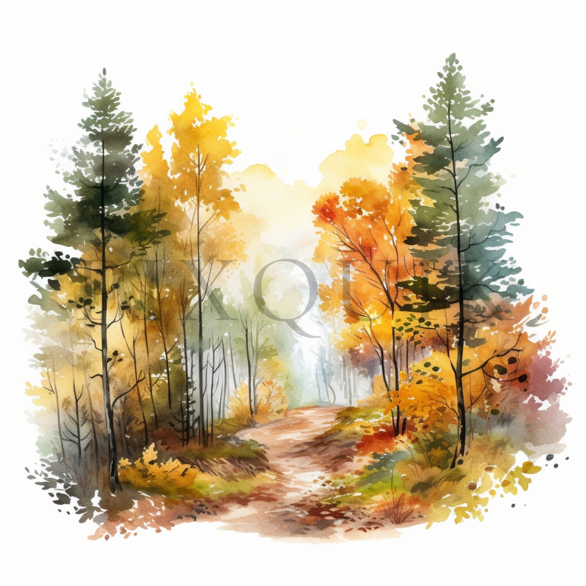 Autumn Forest Watercolor Clipart | Fall Nature Jpgs (digital Download ...