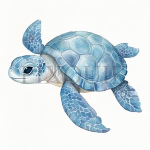 Watercolor Sea Turtle Clipart: Ocean Life Illustration (10 JPG & PNG ...