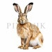Jack Rabbit Clipart | Nursery Art, Paper Crafts (digital Download) - Etsy
