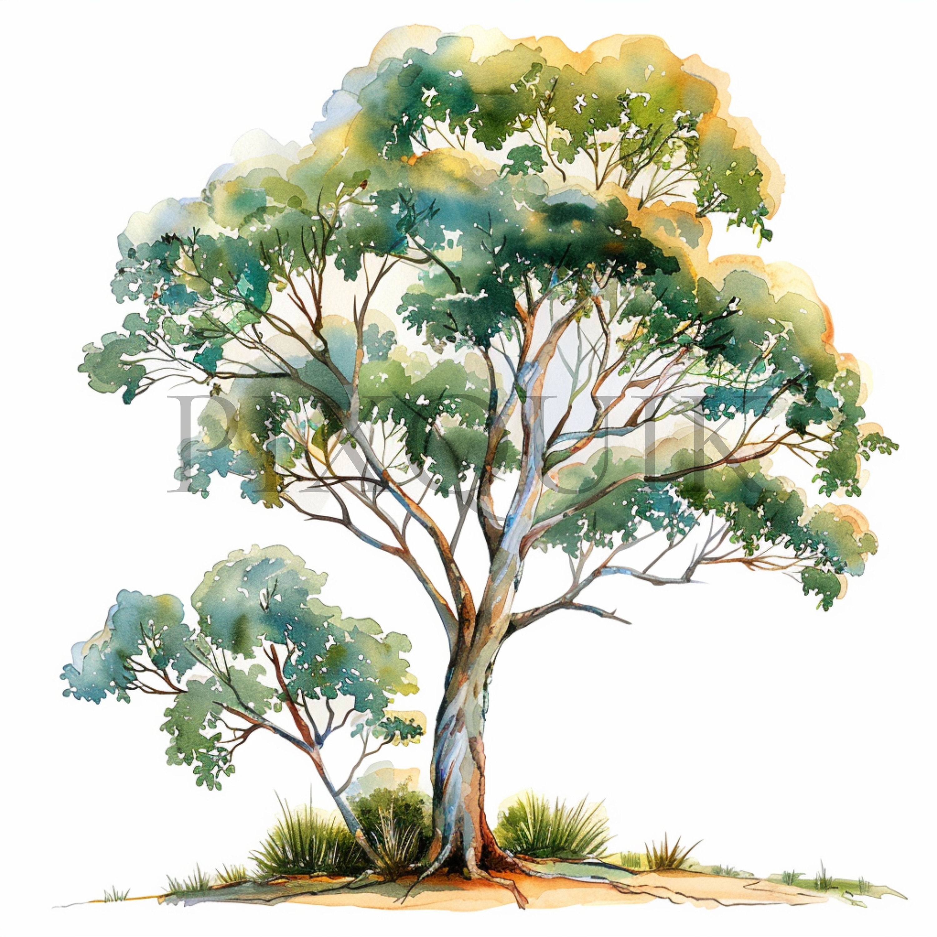 Gum Tree Clipart Tree Clipart 10 High Quality JPG Gum Tree Illustration ...