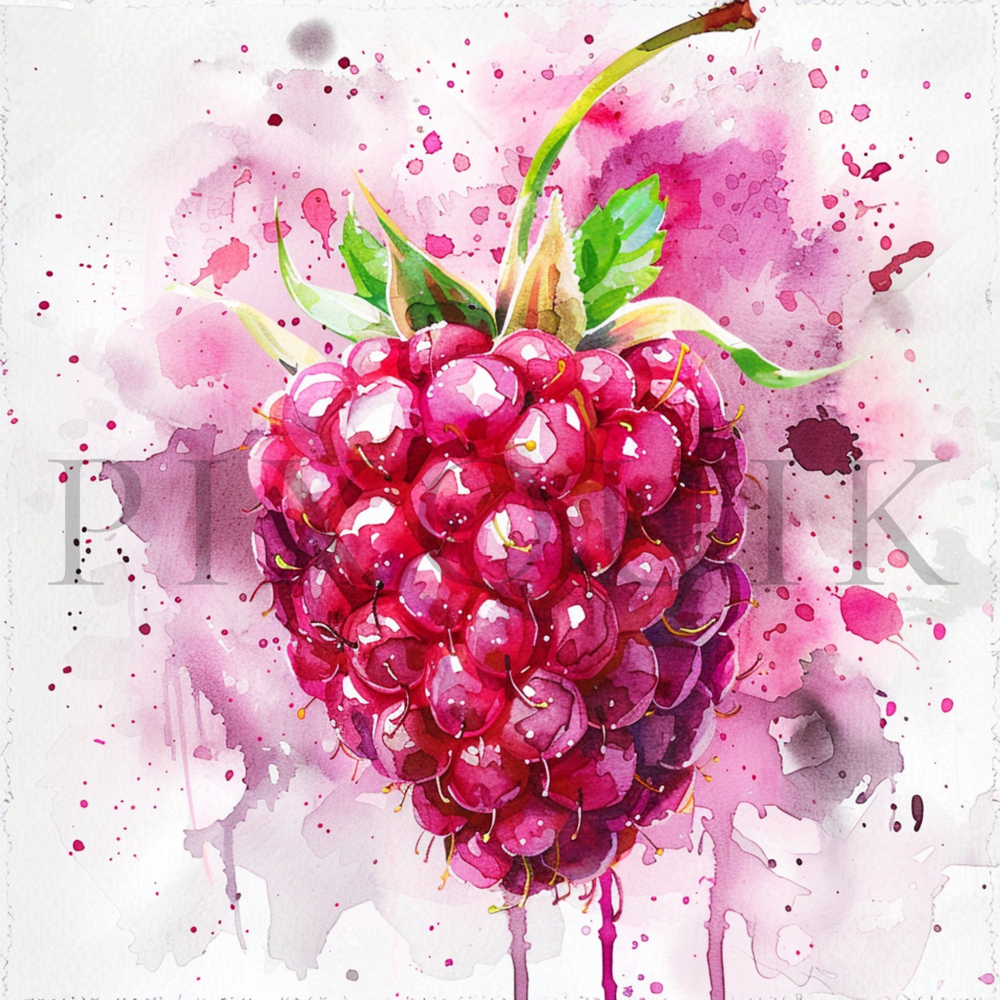 Watercolor Raspberry Clipart 11 High Quality Jpgs Digital Download ...