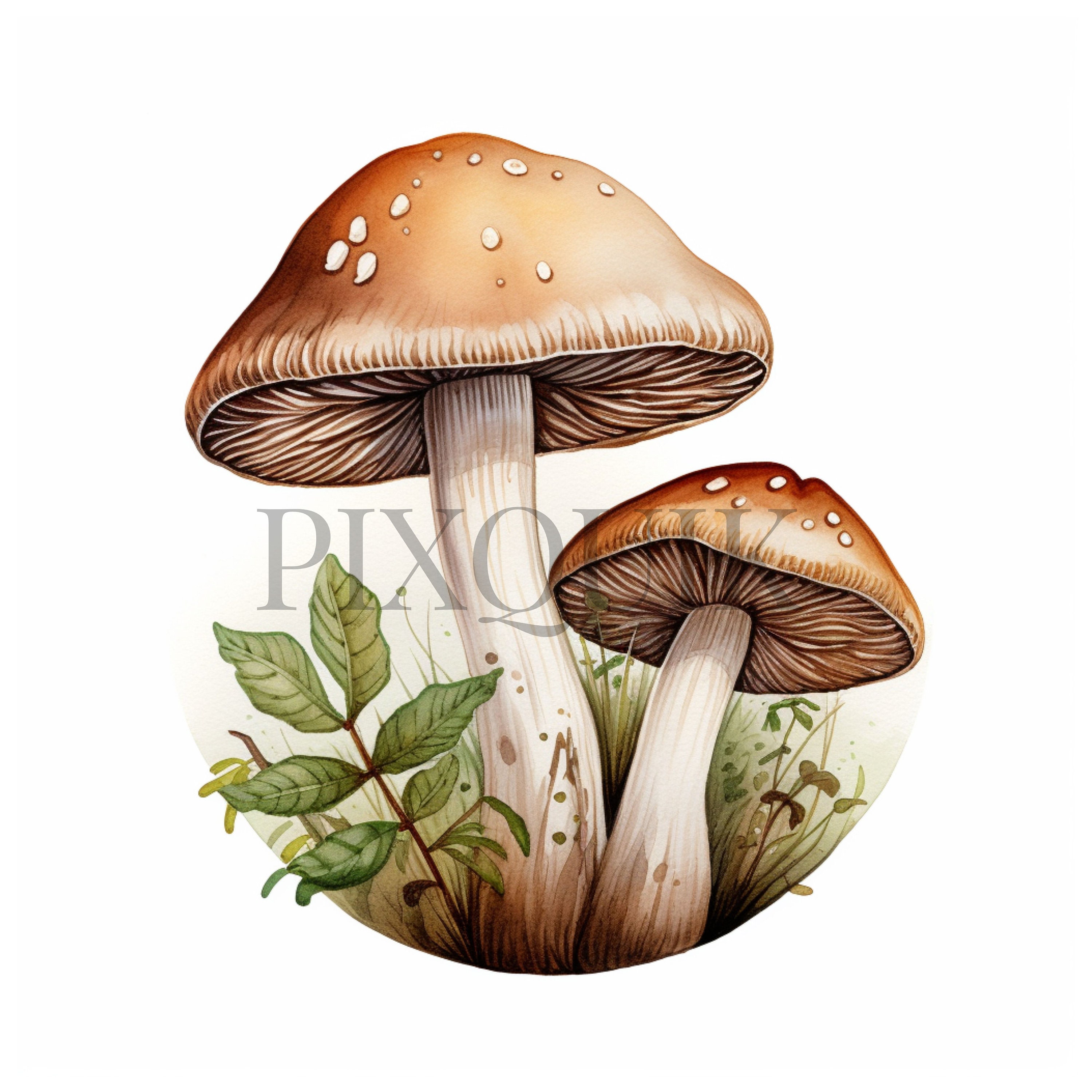 Watercolor Mushroom Clipart – Nature Illustration, Jpgs (digital ...