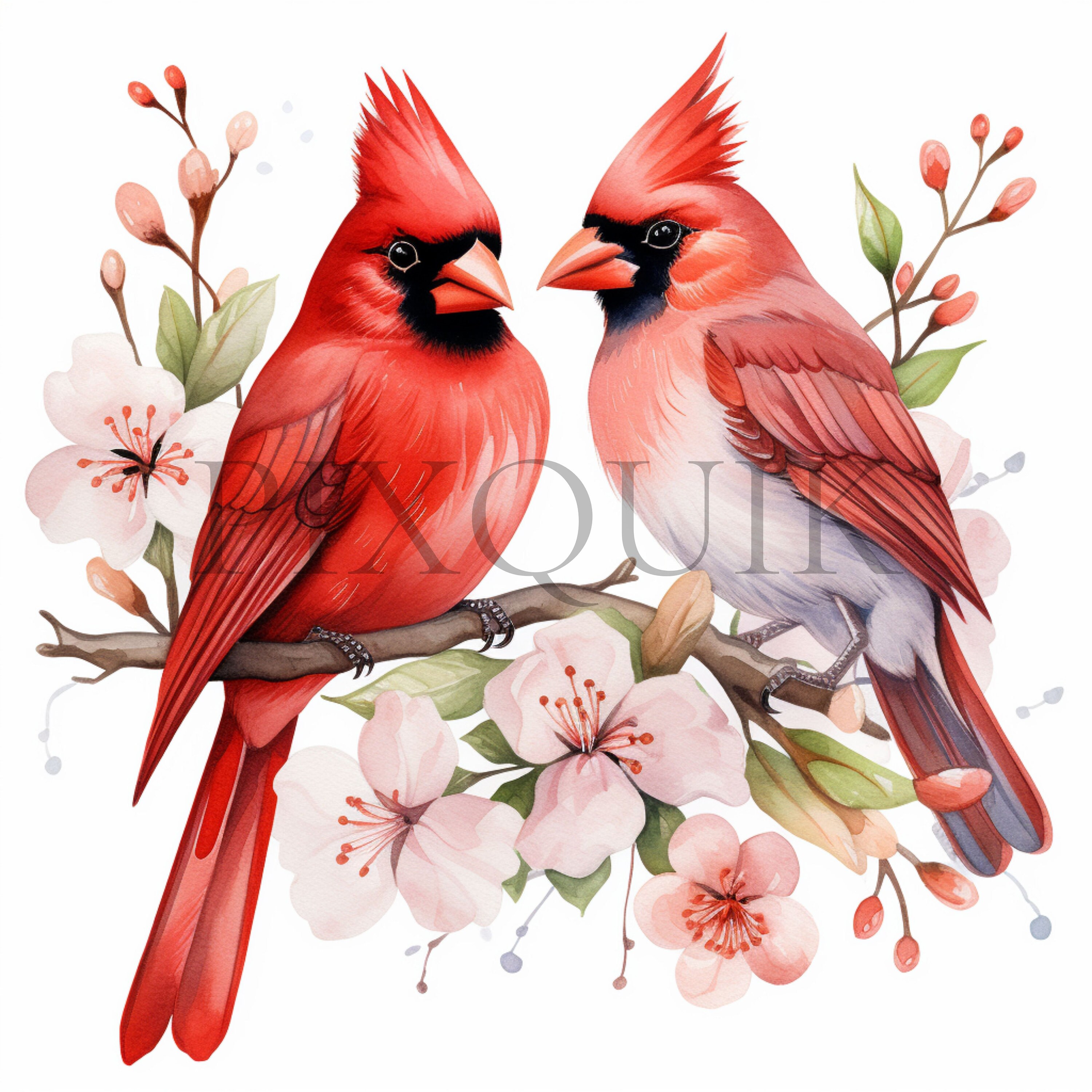Cardinal Friends Flowers Clipart 10 High Quality Jpgs Commercial Use ...