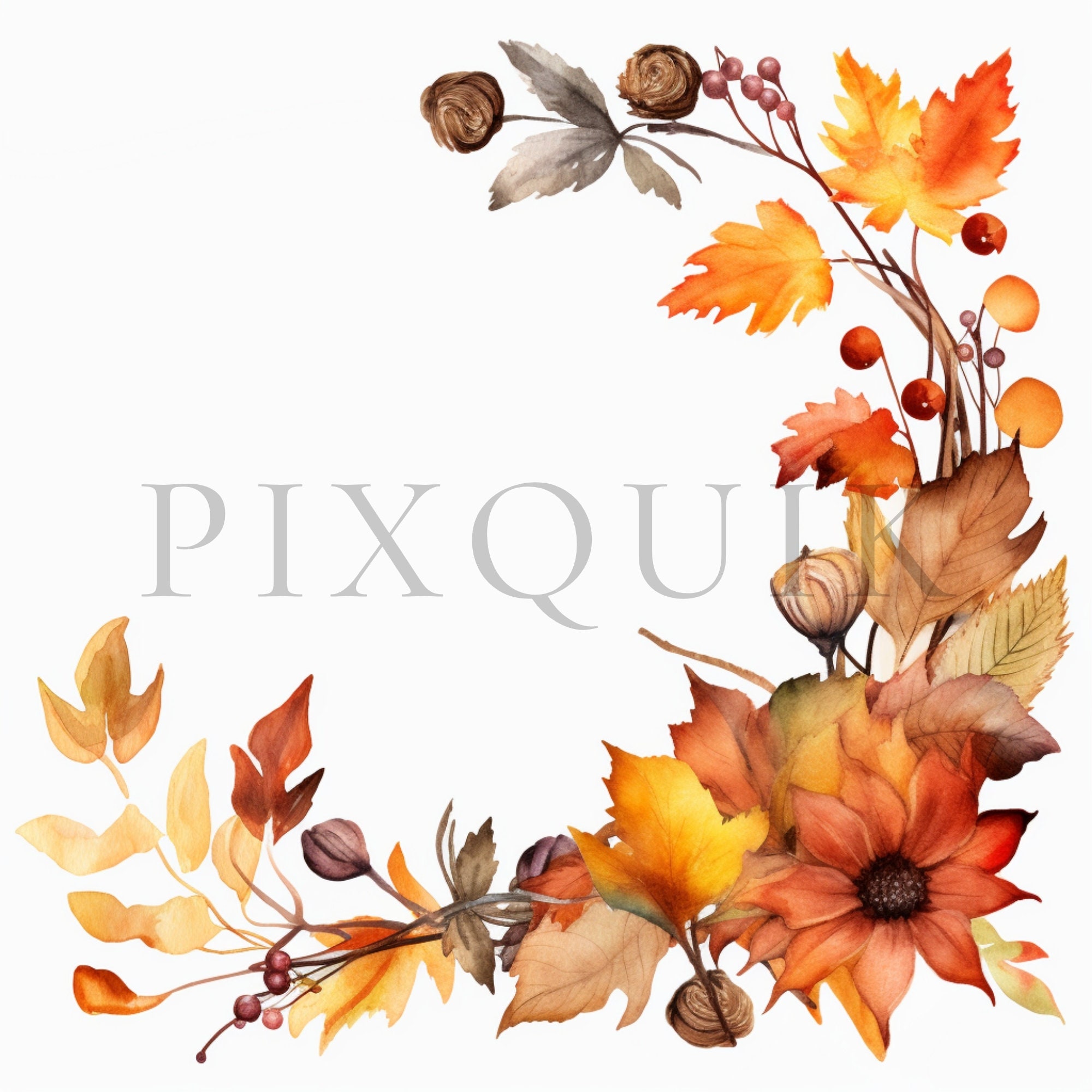 Autumn Border Clipart 10 High Quality Jpgs Digital Download Autumn ...