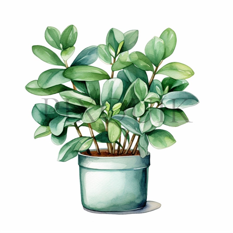 Cute House Plant Clipart | 10 High Quality Jpgs | Botanical Art ...