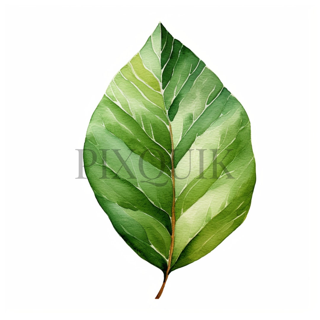 Watercolor Leaf Clipart | Hyper-realistic Botanical Art (digital ...