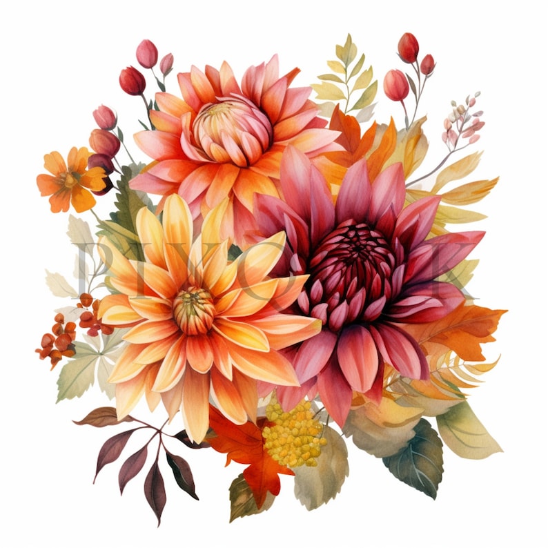 Autumn Flowers Clipart 10 High Quality Jpgs Digital Download Autumn ...