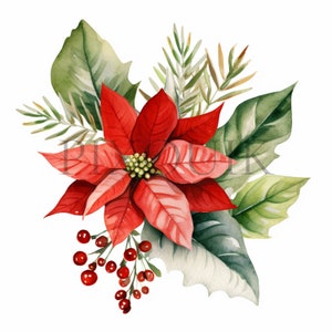 Festive Christmas Plant Clipart 10 High Quality Jpgs Holiday Flora Art ...