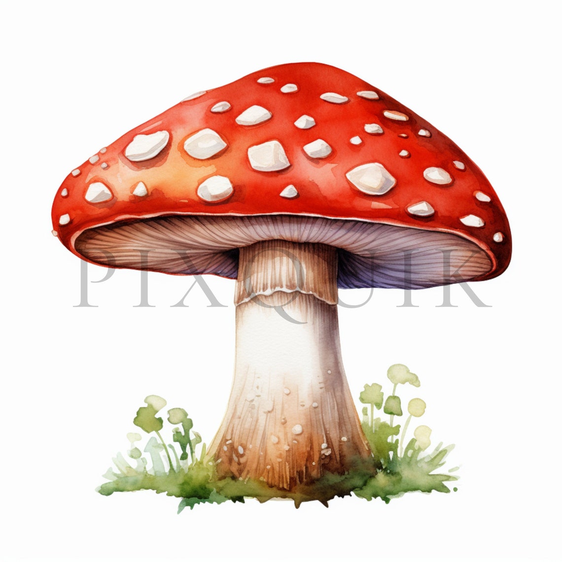 Toadstool Clipart 10 High Quality Jpgs Instant Digital Download ...