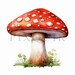 Mushroom Clipart | Watercolor Toadstool Art, Fall Nature (digital ...