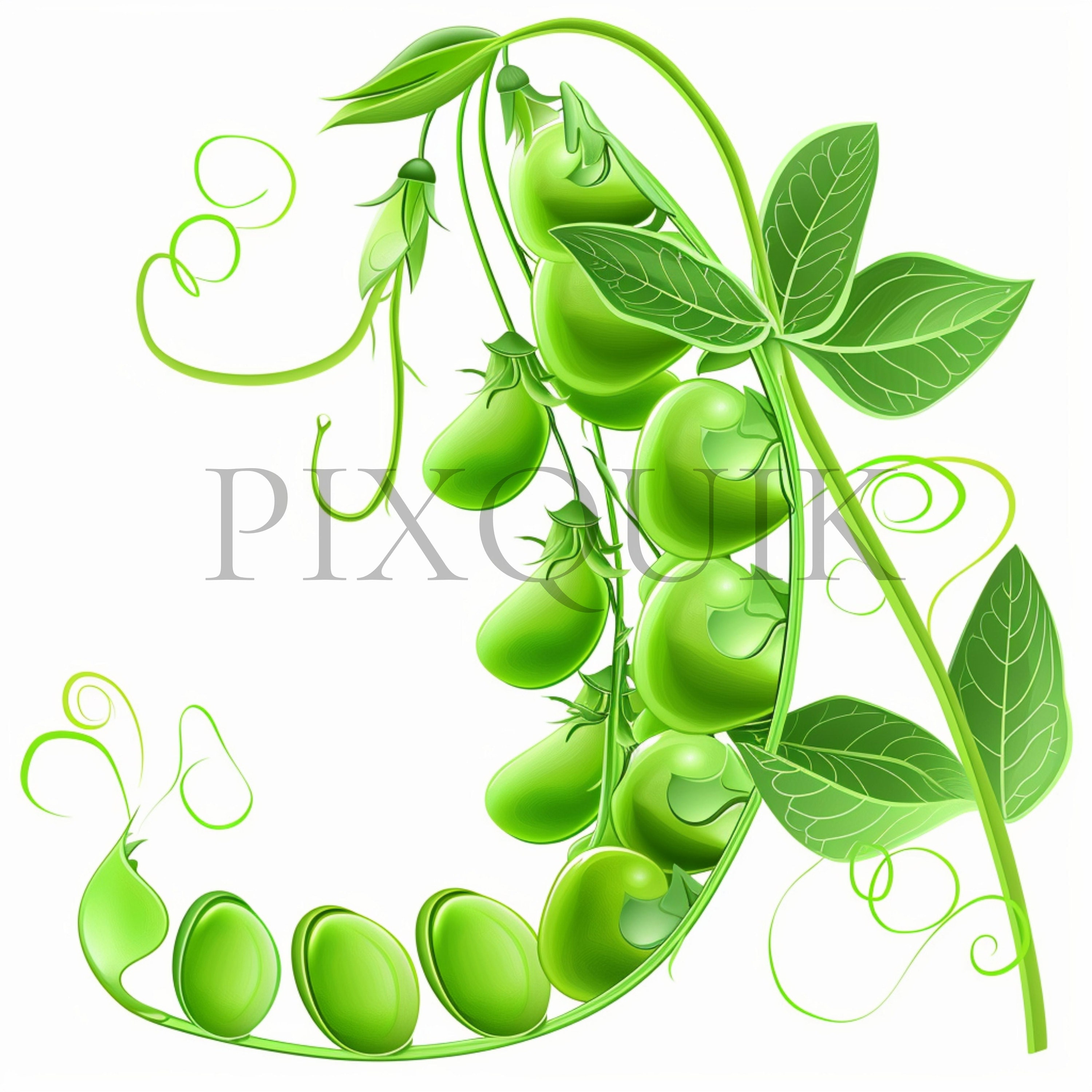 Sweet Peas Clipart 10 High Quality JPG Sweetpeas Sweet Pea Sweet Peas Vector Junk Journals ...