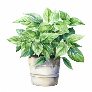 Potted Plant Clipart | 10 High Quality Jpgs | Indoor Plant Art ...