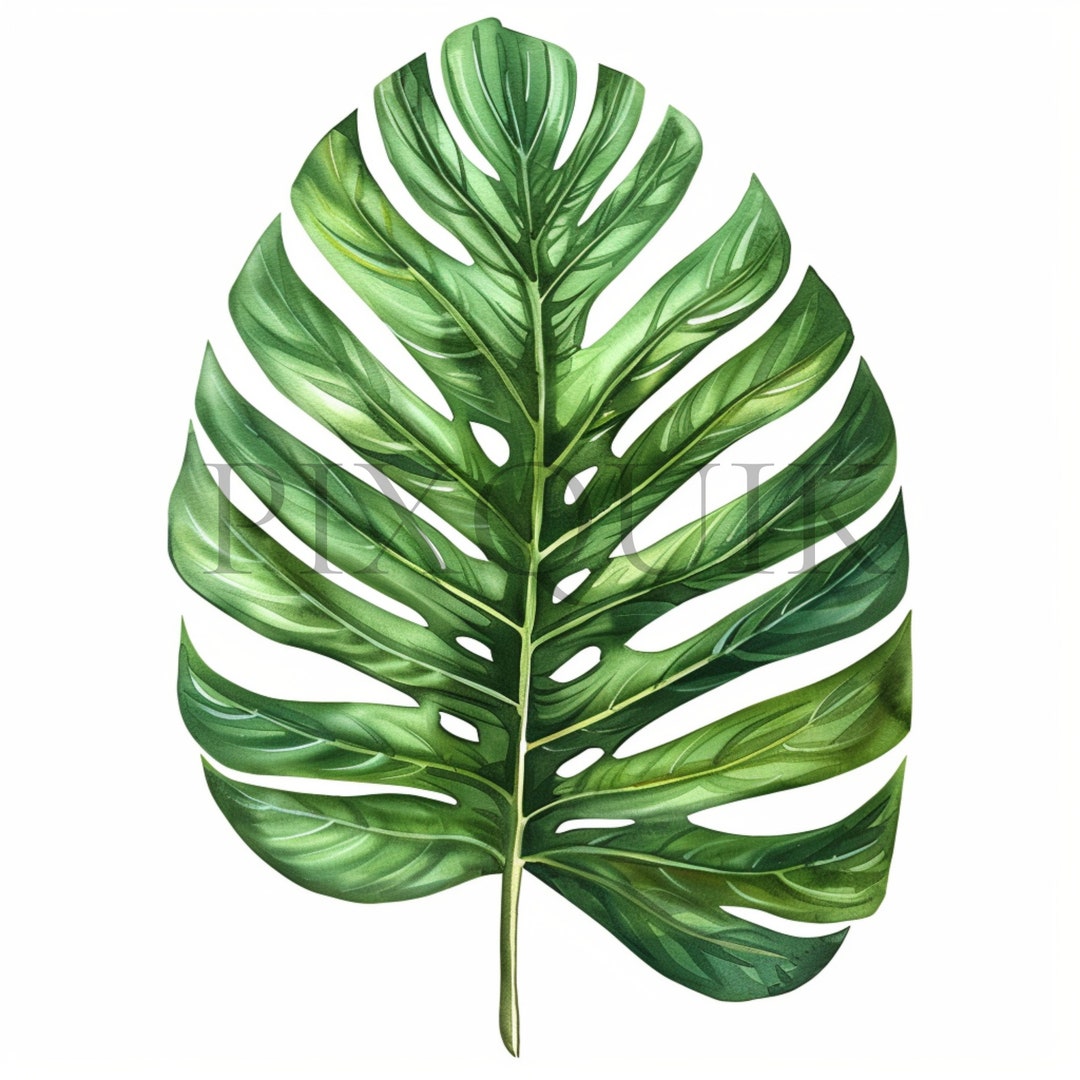 Palm Leaf Clip Art | 10 High Quality JPG | Jungle Leavees | Palm Branch ...