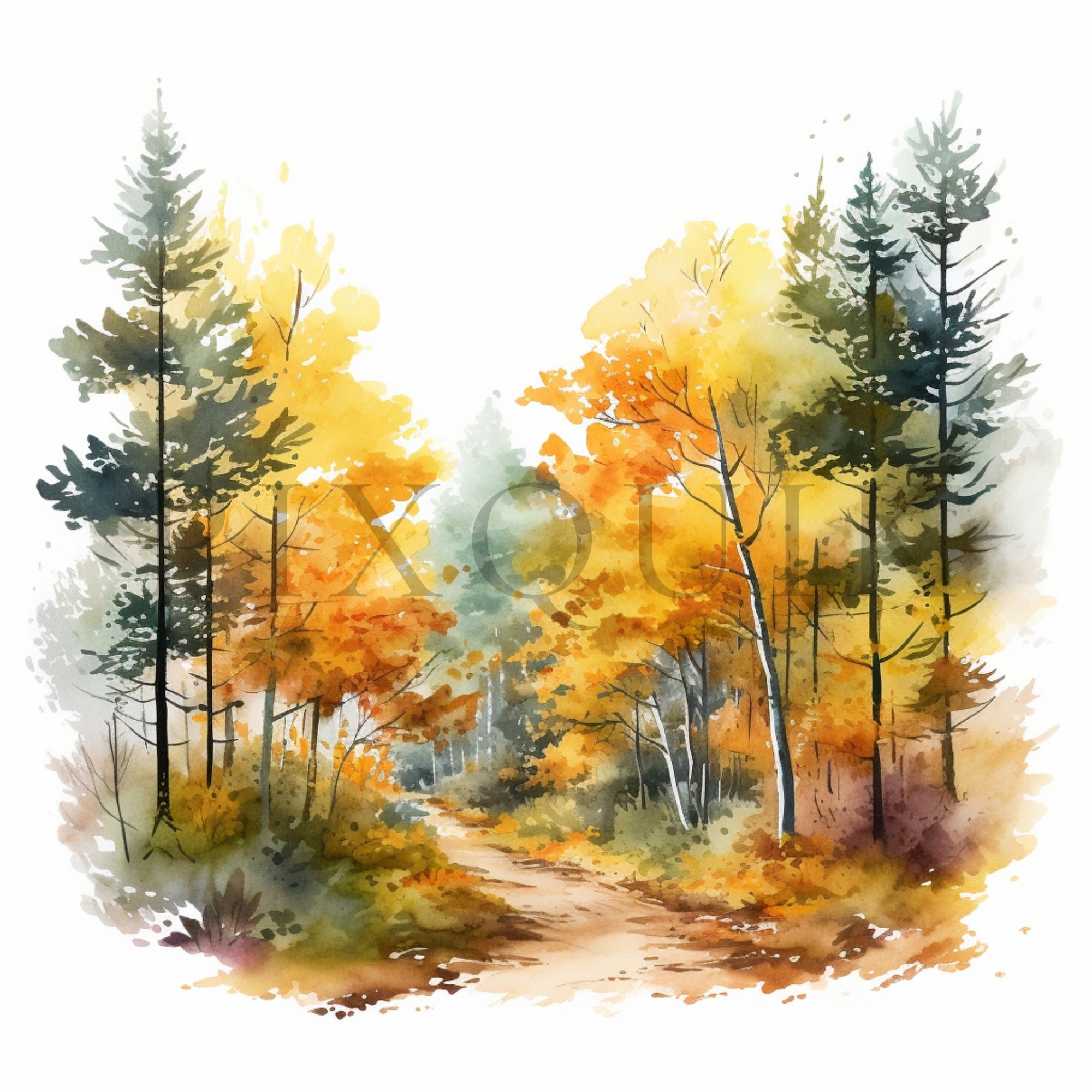 Autumn Forest Watercolor Clipart | Fall Nature Jpgs (digital Download ...