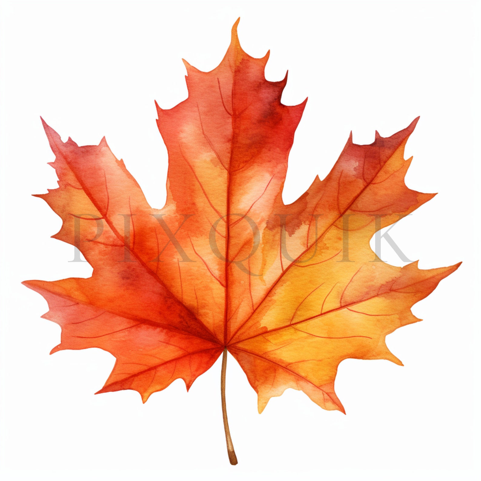 Fall Leaves Clipart 10 High Quality Jpgs Autumn Leaves Clipart Autumn ...