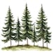 Watercolor Pine Tree Clipart: Nature Illustration (47 JPG Files) - Etsy