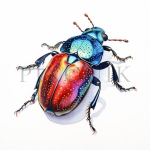 Watercolor Bug Clipart 10 Quality Jpgs Digital Download Bug Mixed Media ...