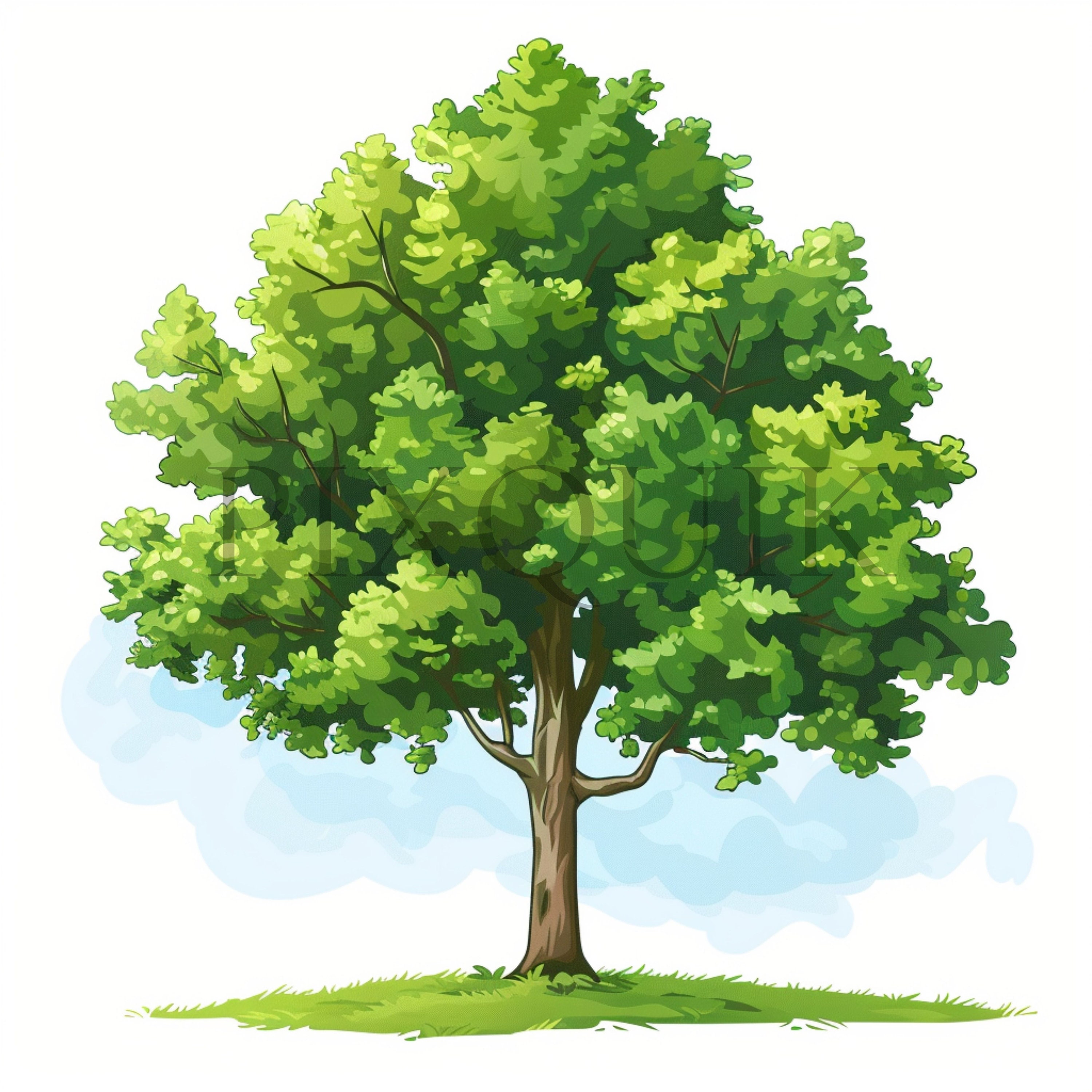 Sycamore Tree Clipart 10 High Quality Jpgs Sycamore Tree Illustration ...