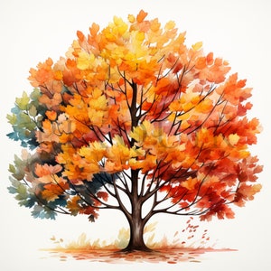 Fall Tree Clipart | 10 High Quality Jpgs | Digital Download | Nature ...