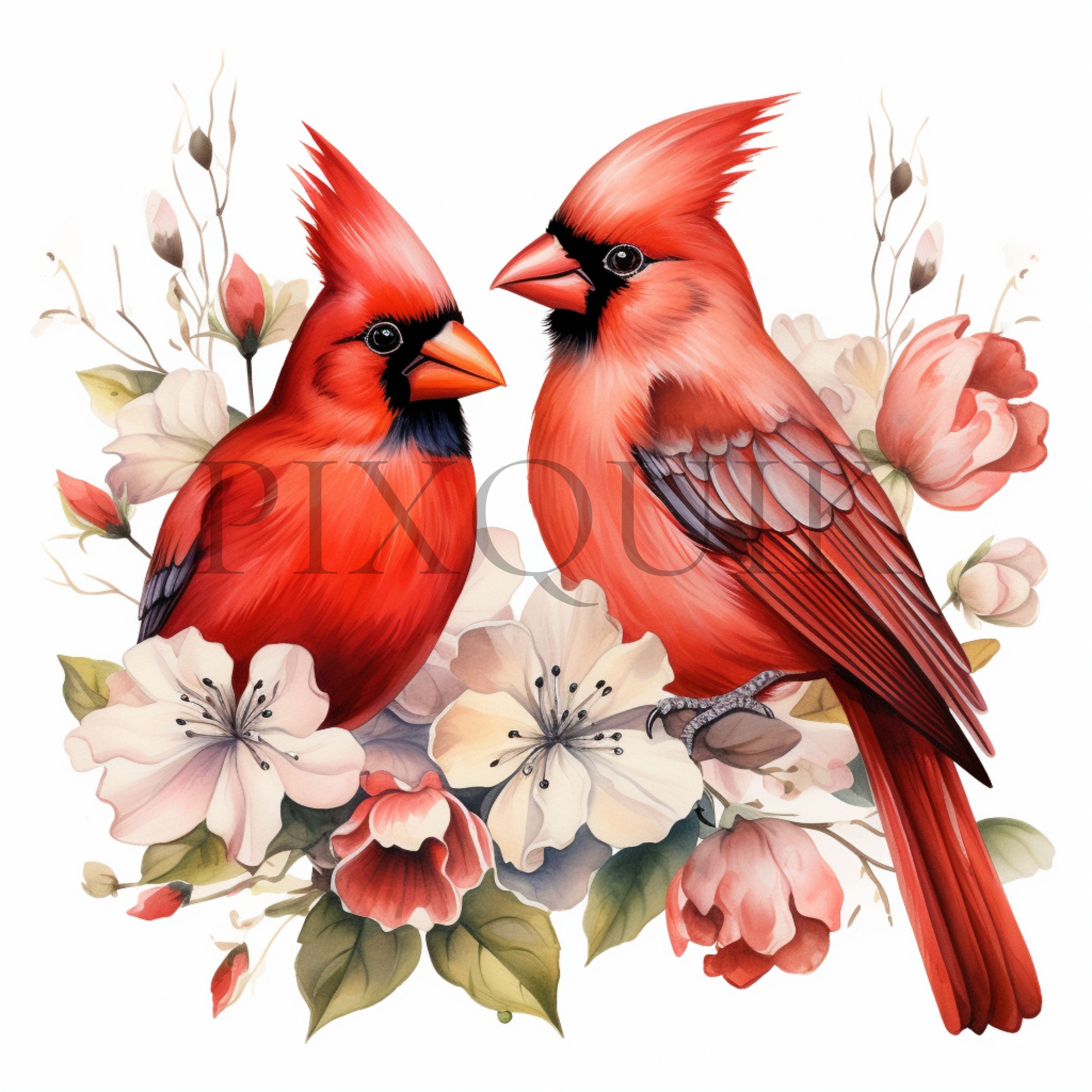 Cardinal Friends Flowers Clipart 10 High Quality Jpgs Commercial Use ...