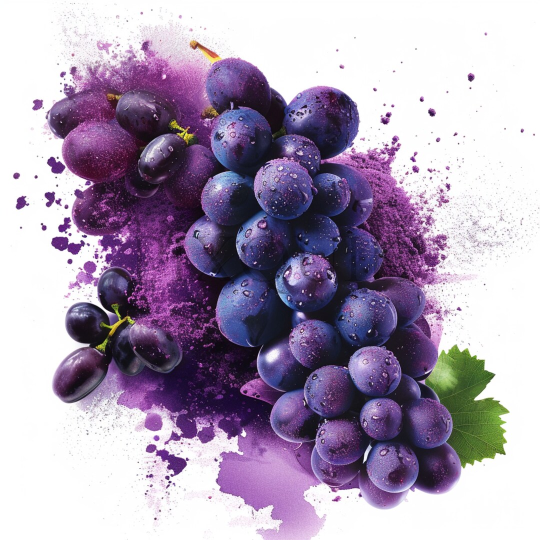 Watercolor Grapes Clipart | 10 Jpgs, Commercial Use (instant Download ...