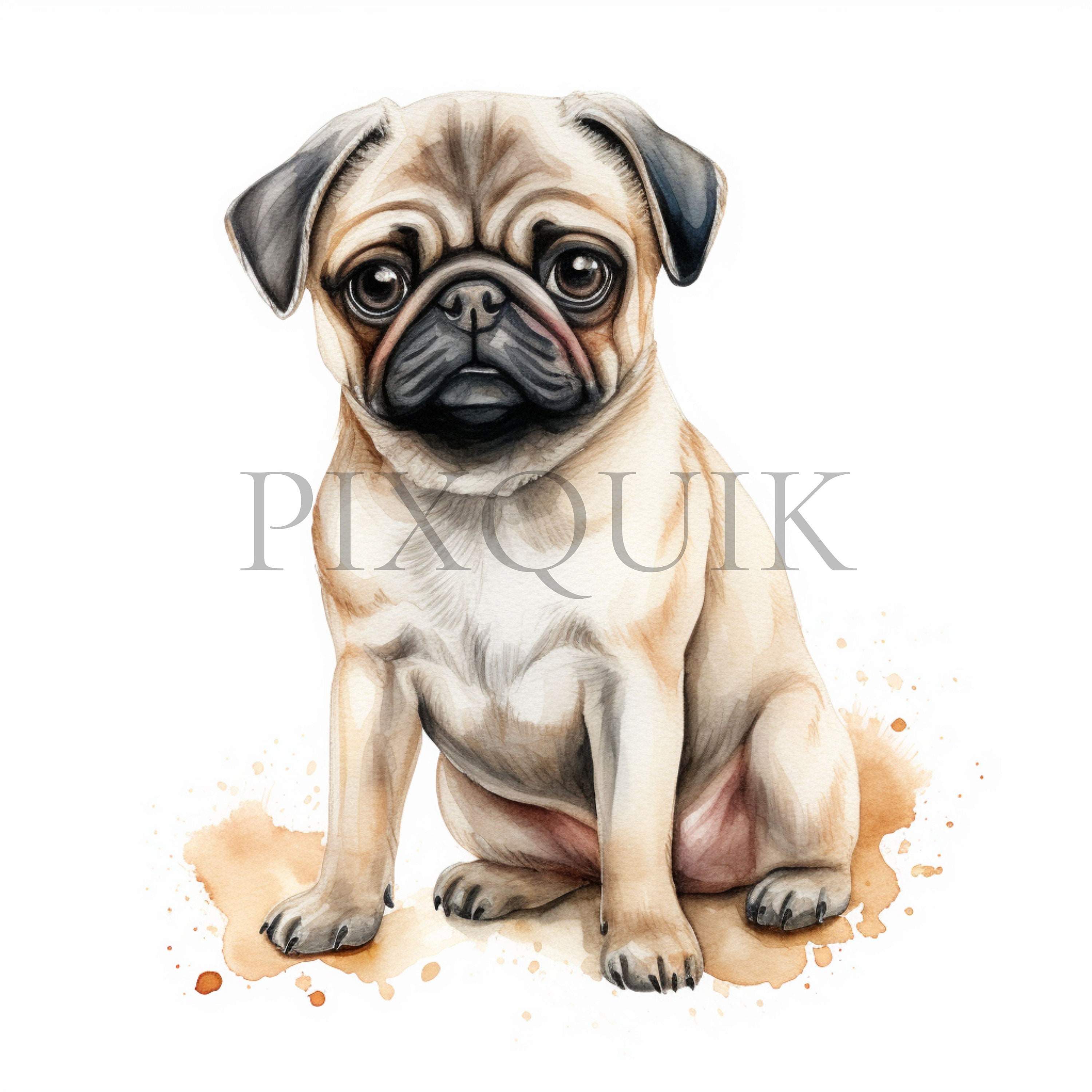 Pug Clipart 10 High Quality Jpgs Puppy Clipart Cute Pug Clipart Digital ...