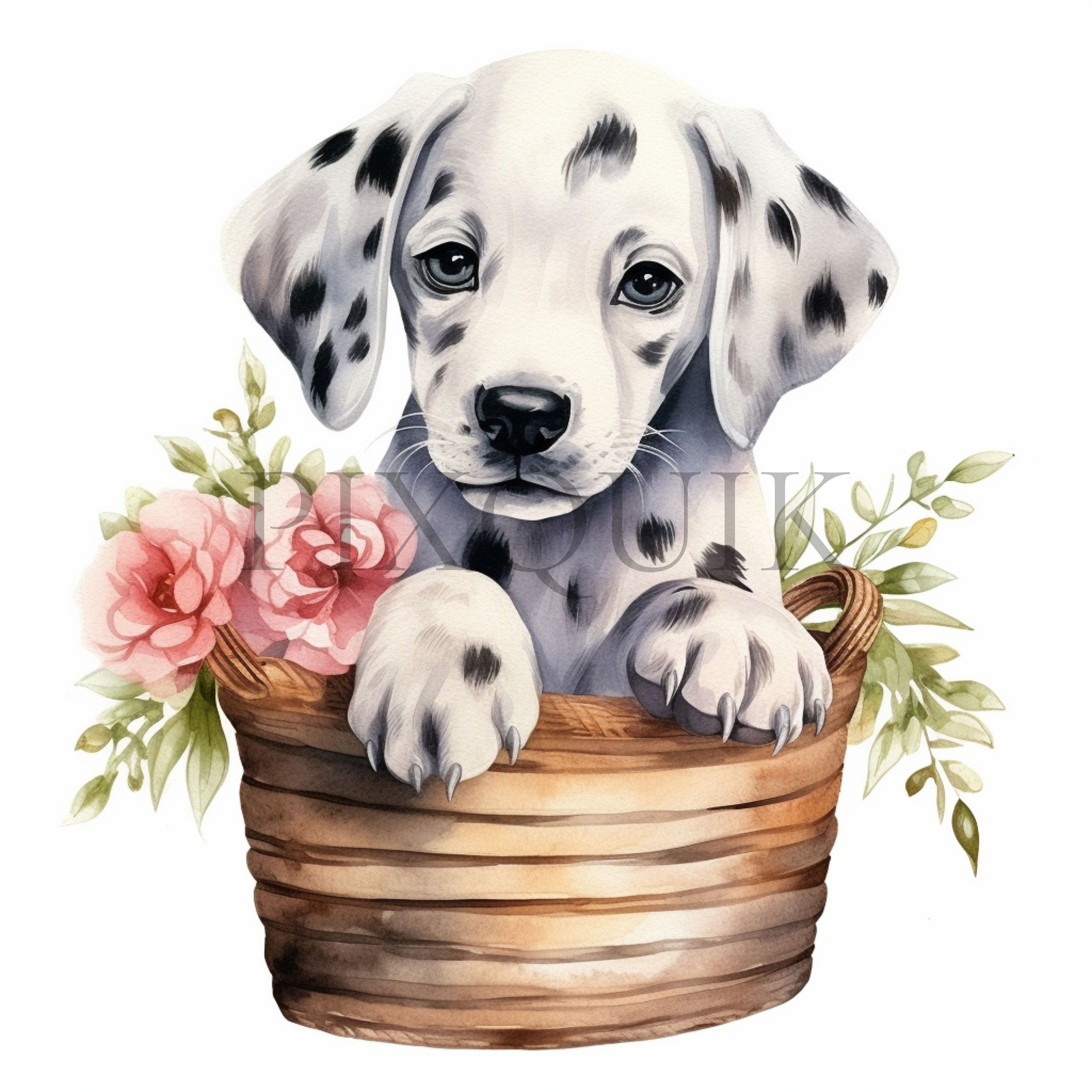 Dalmatian Clipart 10 High Quality Jpgs nursery Art, Digital Download ...