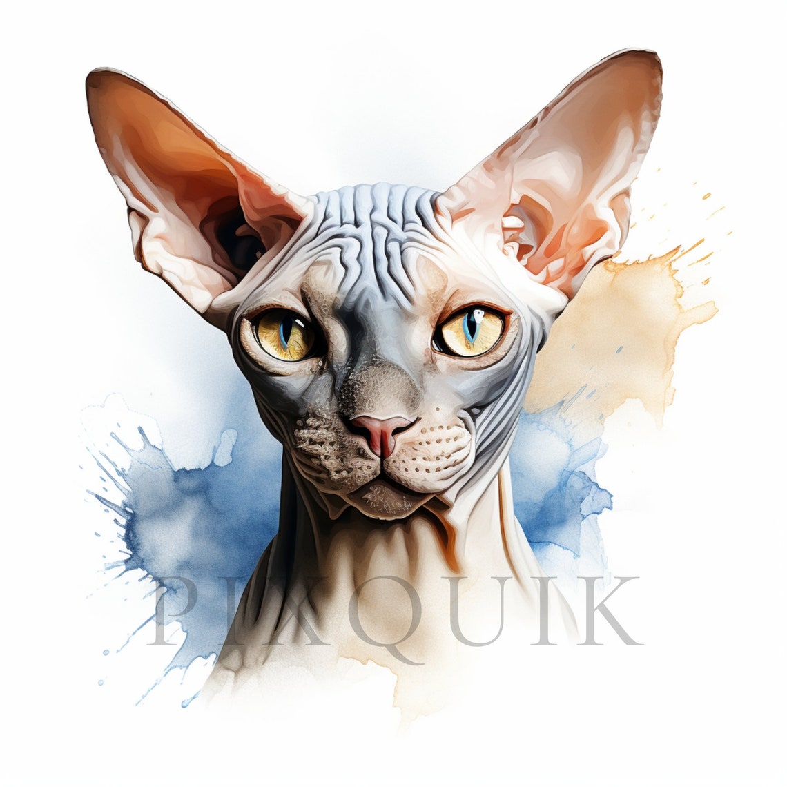 Watercolor Sphynx Cat Clipart | High-quality Jpgs (digital Download) - Etsy