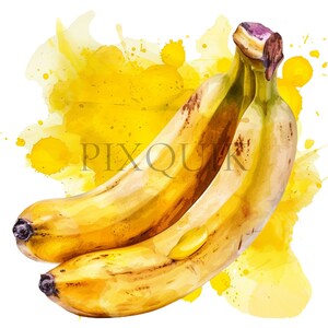 Watercolor Banana Clipart | Tropical Fruit Illustration (instant ...