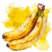 Watercolor Banana Clipart | Tropical Fruit Illustration (instant ...