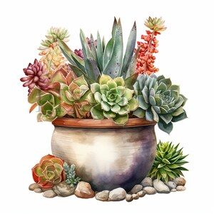 Garden Pot Clipart 10 High Quality Jpgs Potted Plant Art Botanical ...